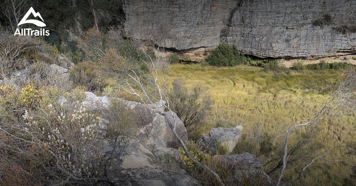 Best hikes and trails in Newnes State Forest | AllTrails