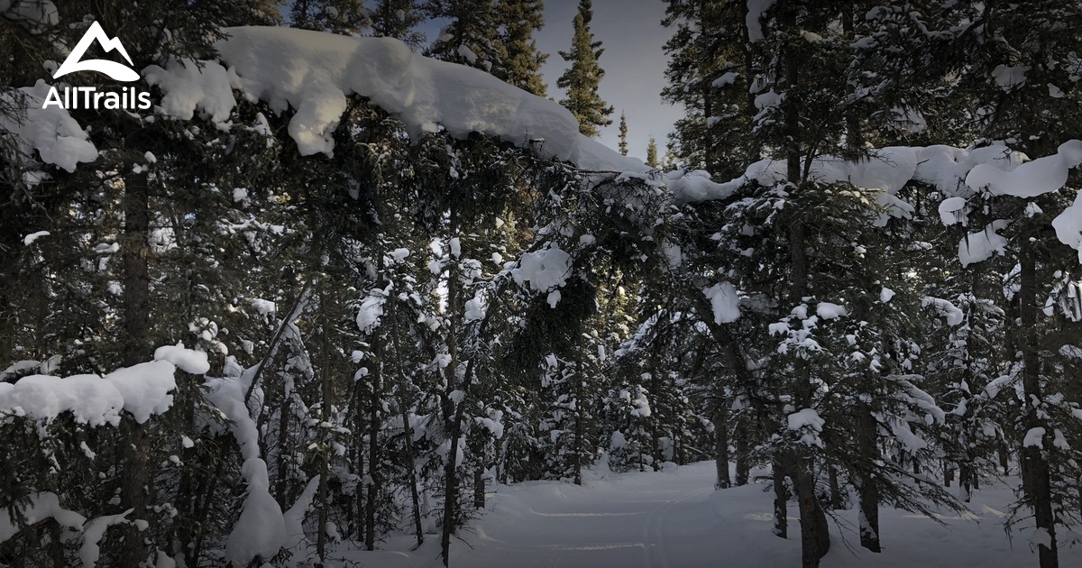 10 Best hikes and trails in Whitehorse Cross Country Ski Club | AllTrails