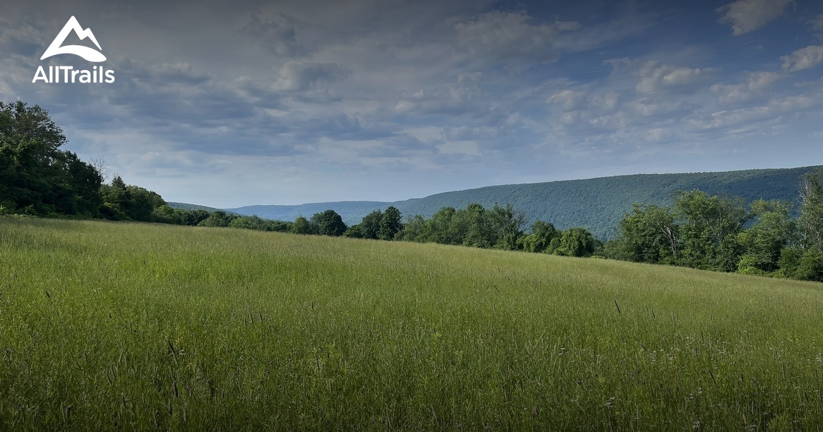 Best hikes and trails in Hinchcliff Family Preserve | AllTrails