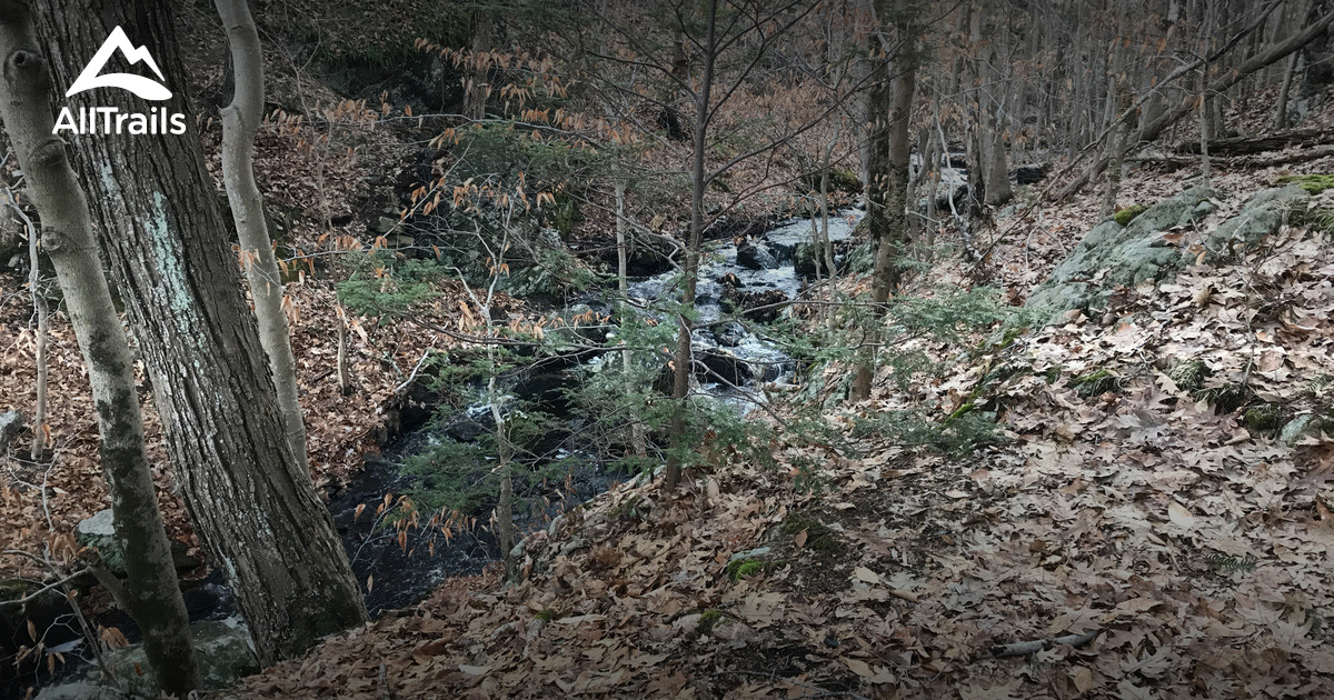Best hikes and trails in Sears Conservation Land | AllTrails