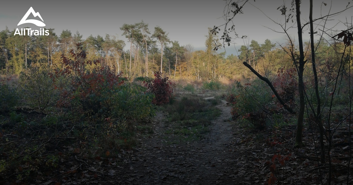Best easy trails in Vlaams Natuurreservaat Oudsberg | AllTrails