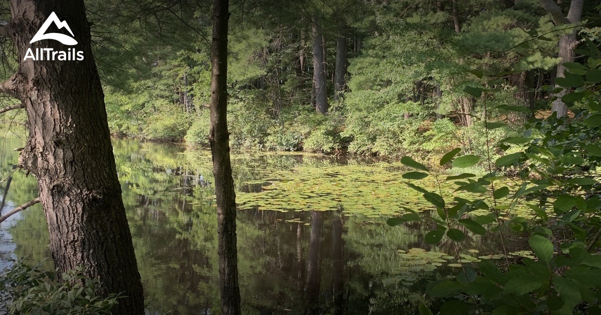 Best hikes and trails in UNH Recreation Area | AllTrails