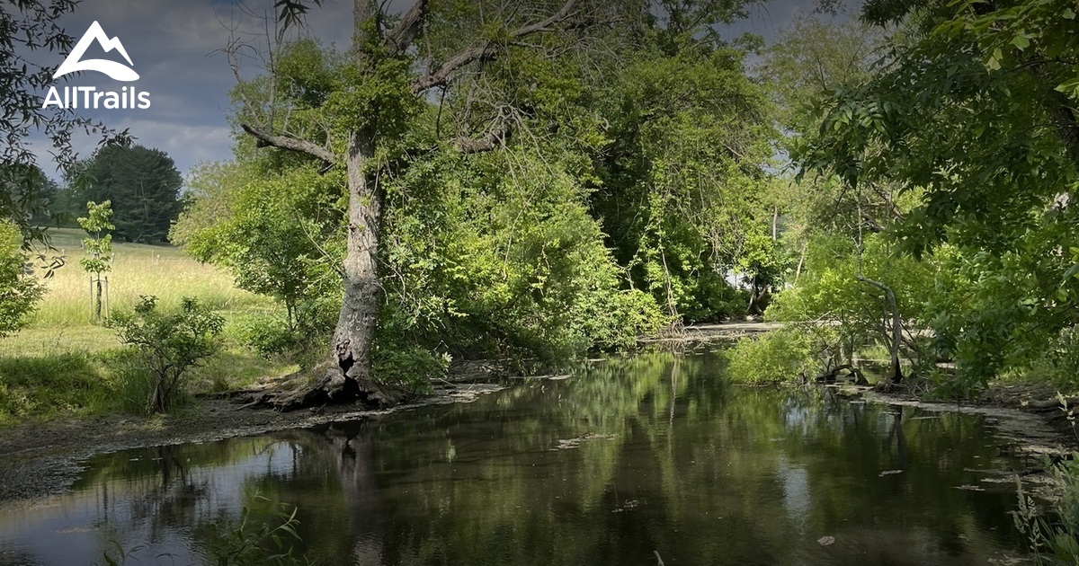 Best hikes and trails in Natural Lands' Hildacy Preserve | AllTrails