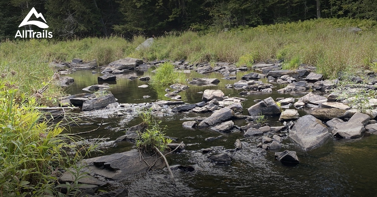 Best hikes and trails in Stover Preserve | AllTrails