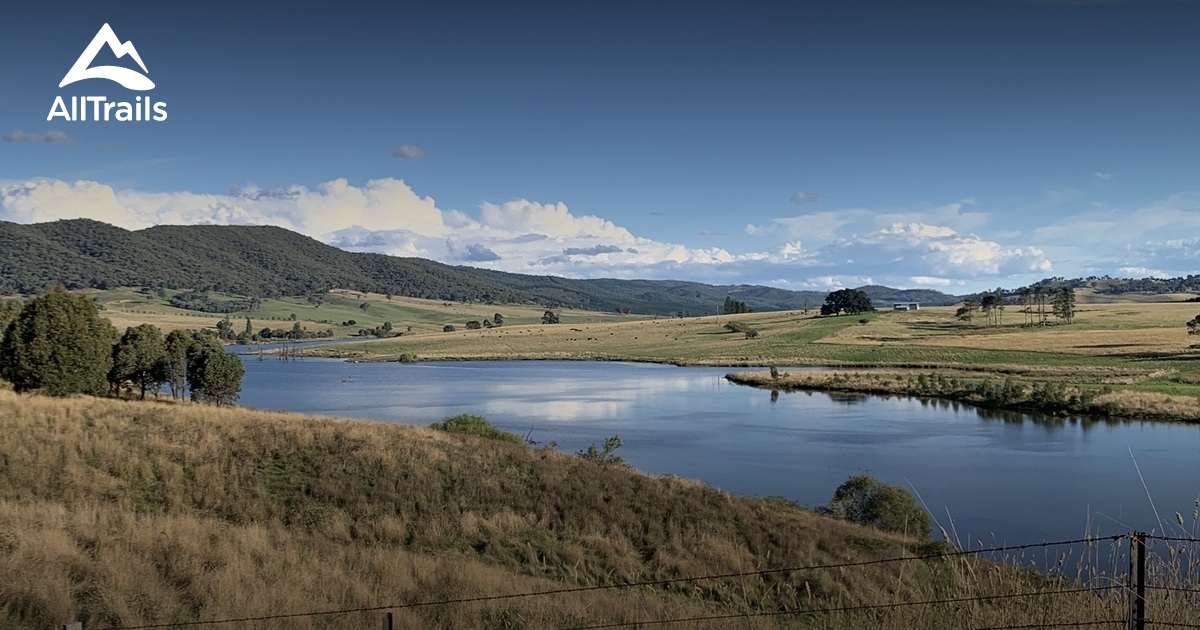 Best hikes and trails in Mannus State Forest | AllTrails