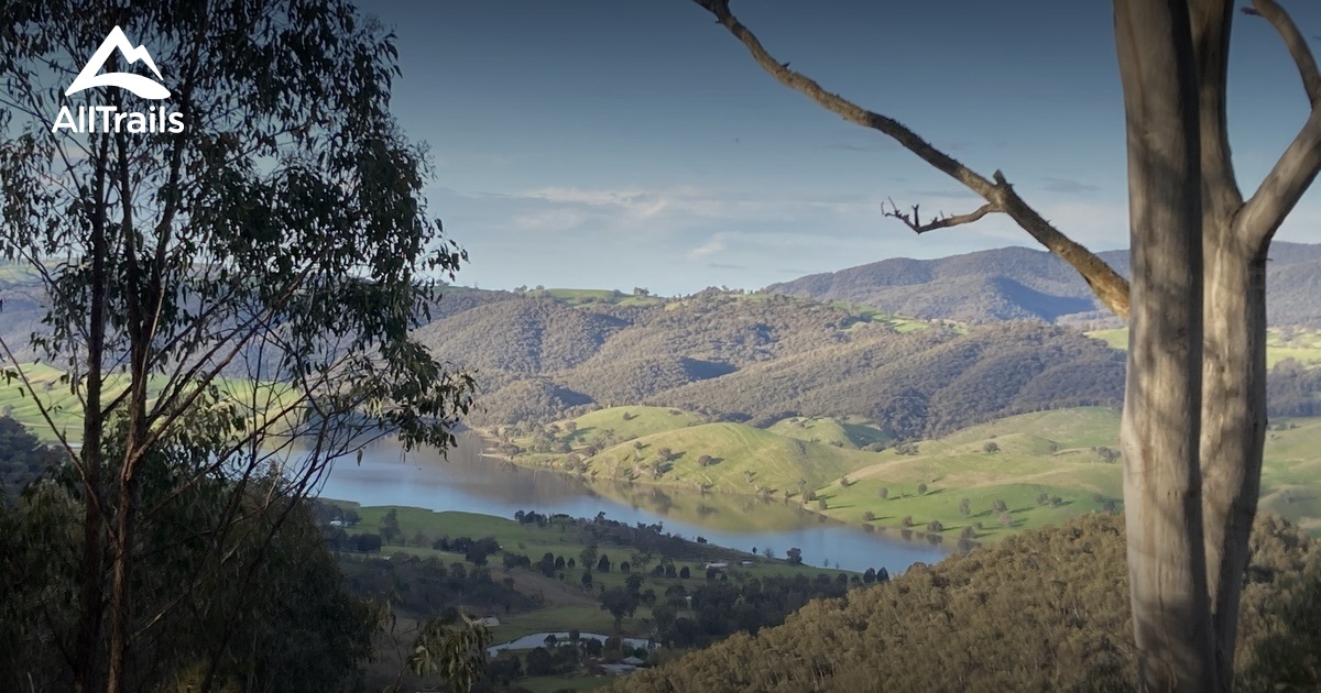 Best hikes and trails in Wee Jasper State Forest | AllTrails