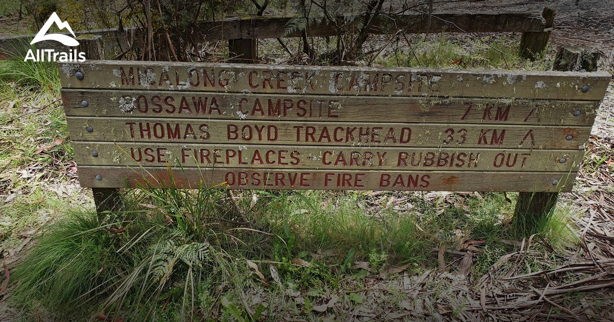 Best hikes and trails in Bondo State Forest | AllTrails