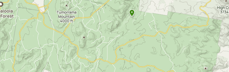 Best Hikes and Trails in Bondo State Forest | AllTrails