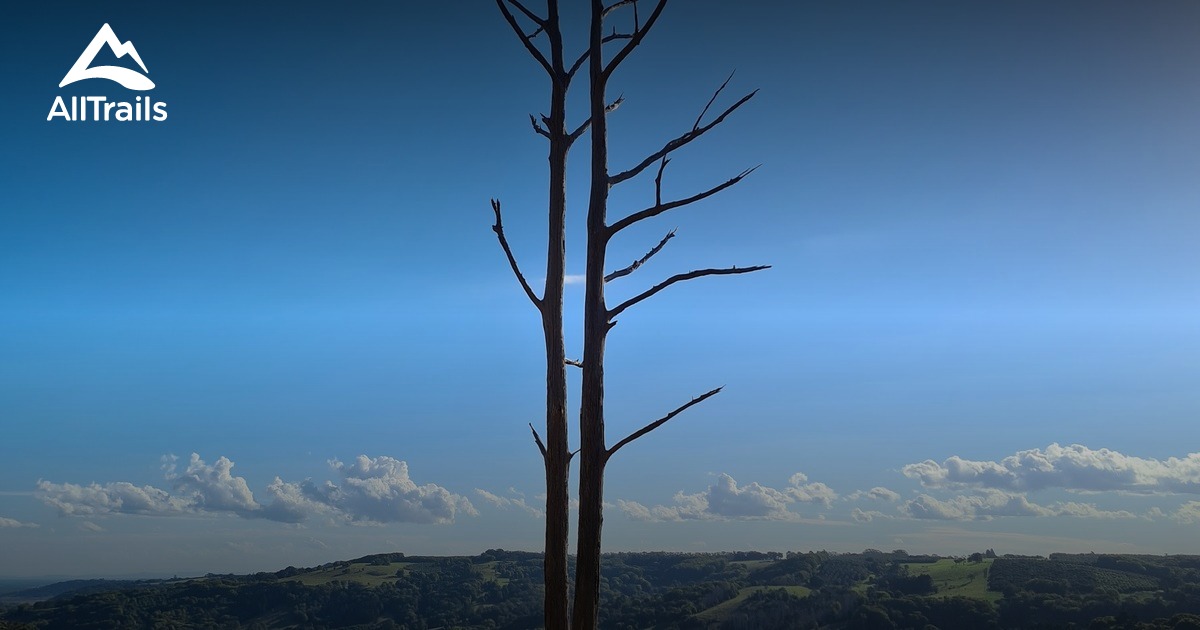 Best hikes and trails in Uralba Nature Reserve | AllTrails