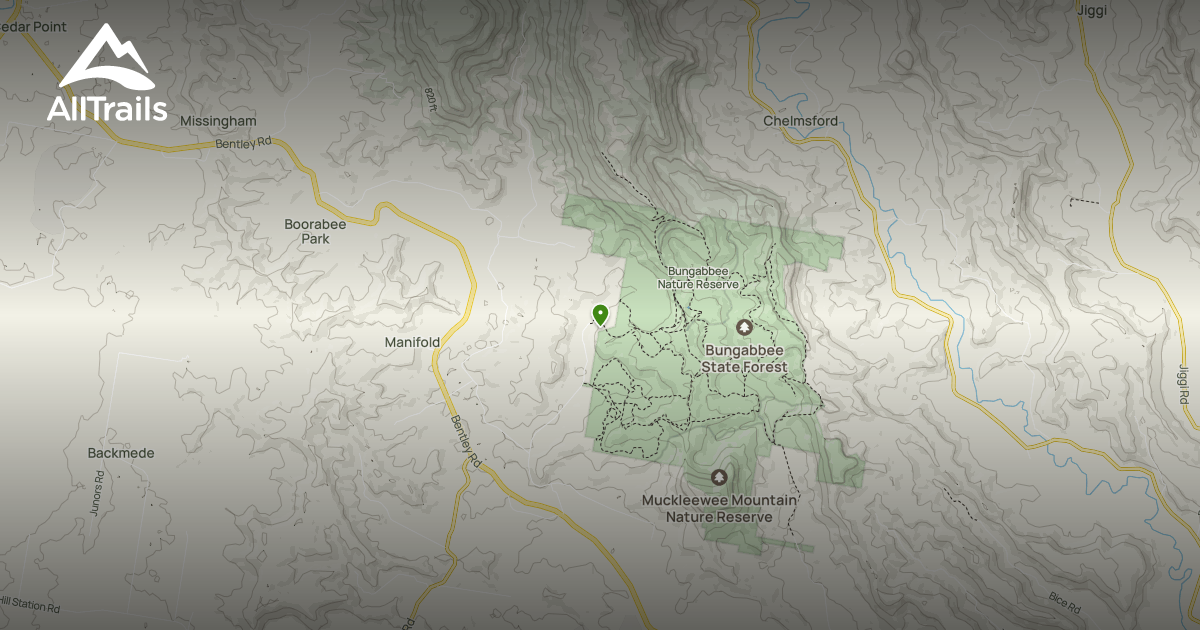 Best hikes and trails in Bungabee State Forest | AllTrails