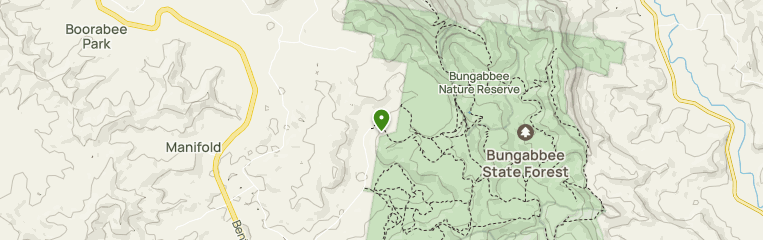 Best Hikes and Trails in Bungabee State Forest | AllTrails