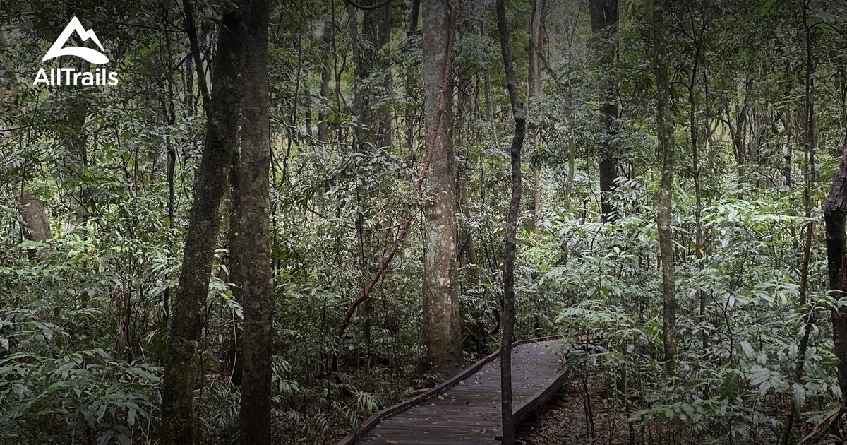 Best hikes and trails in Victoria Park Nature Reserve | AllTrails