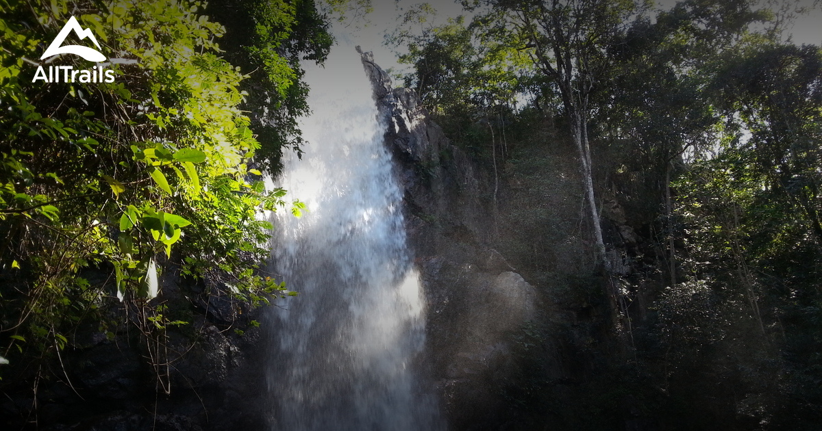 Best hikes and trails in Parque Distrital do Tororó | AllTrails