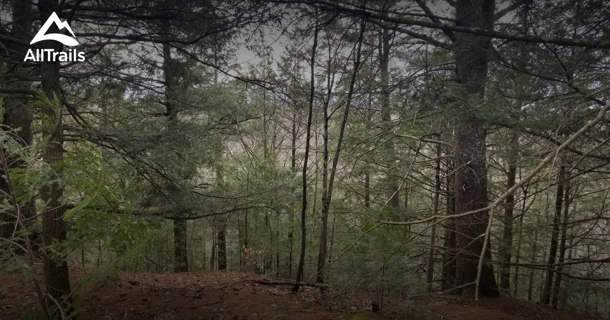 Best hikes and trails in Conwell Property | AllTrails