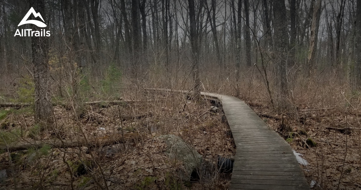 Best trail running trails in Camp Acton Conservation Land | AllTrails