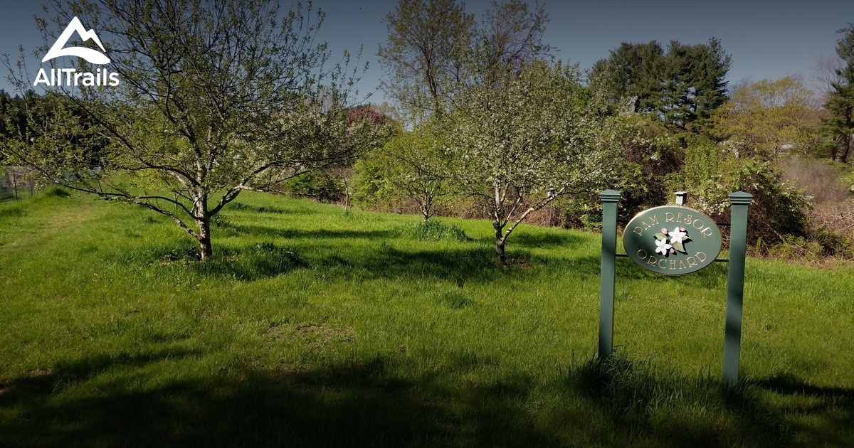 Best hikes and trails in Morrison Farm | AllTrails