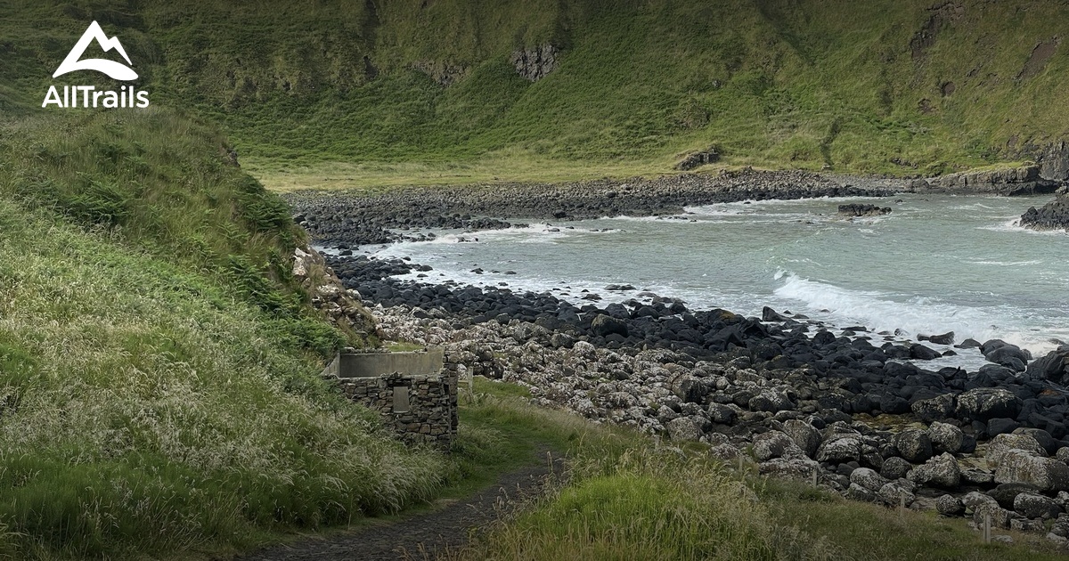 Best hikes and trails in Breen Oakwood Nature Reserve | AllTrails