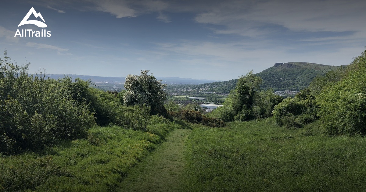 Best hikes and trails in Carnmoney Hill Wood | AllTrails