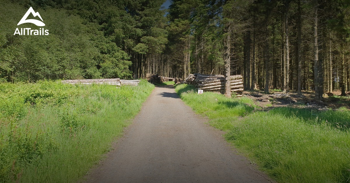 Best hikes and trails in Tardree Forest | AllTrails