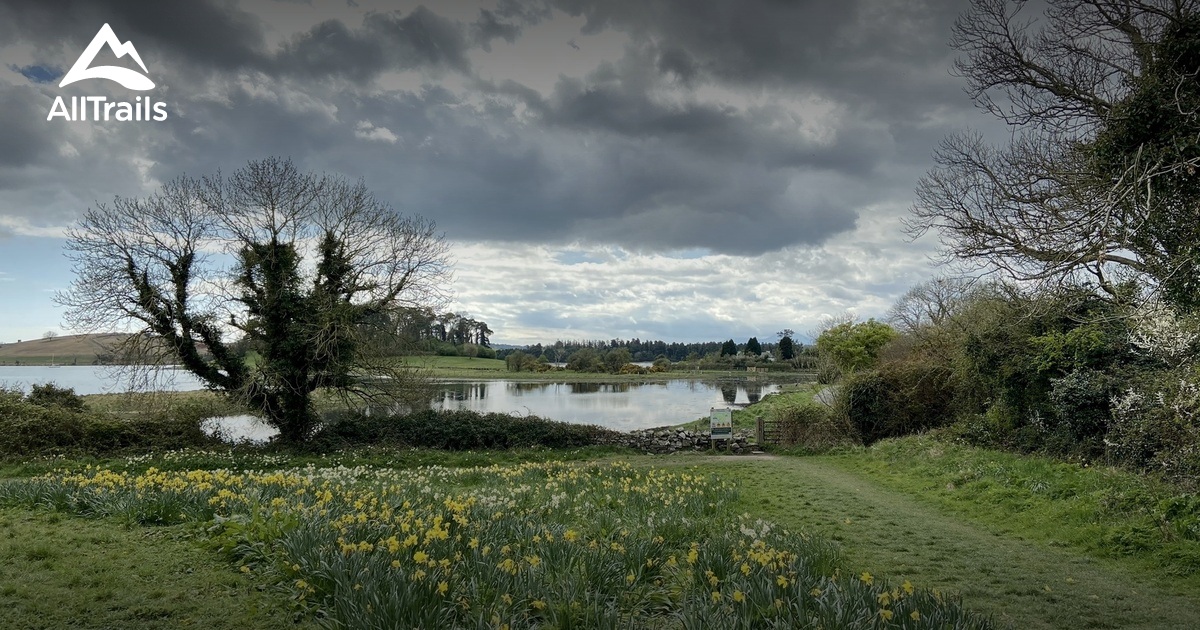 Best hikes and trails in Delamont Country Park | AllTrails