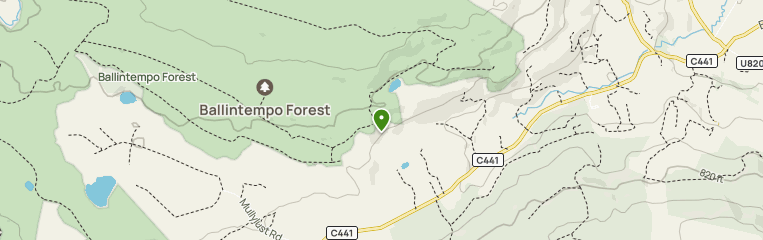 Best Hikes and Trails in Ballintempo Forest | AllTrails