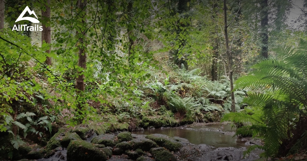 Best walking trails in Gosford Forest Park | AllTrails
