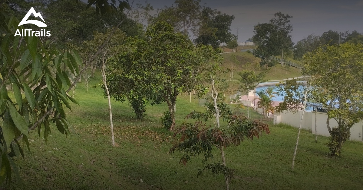 Best hikes and trails in Hutan Bandar Majlis Perbandaran Kulai | AllTrails