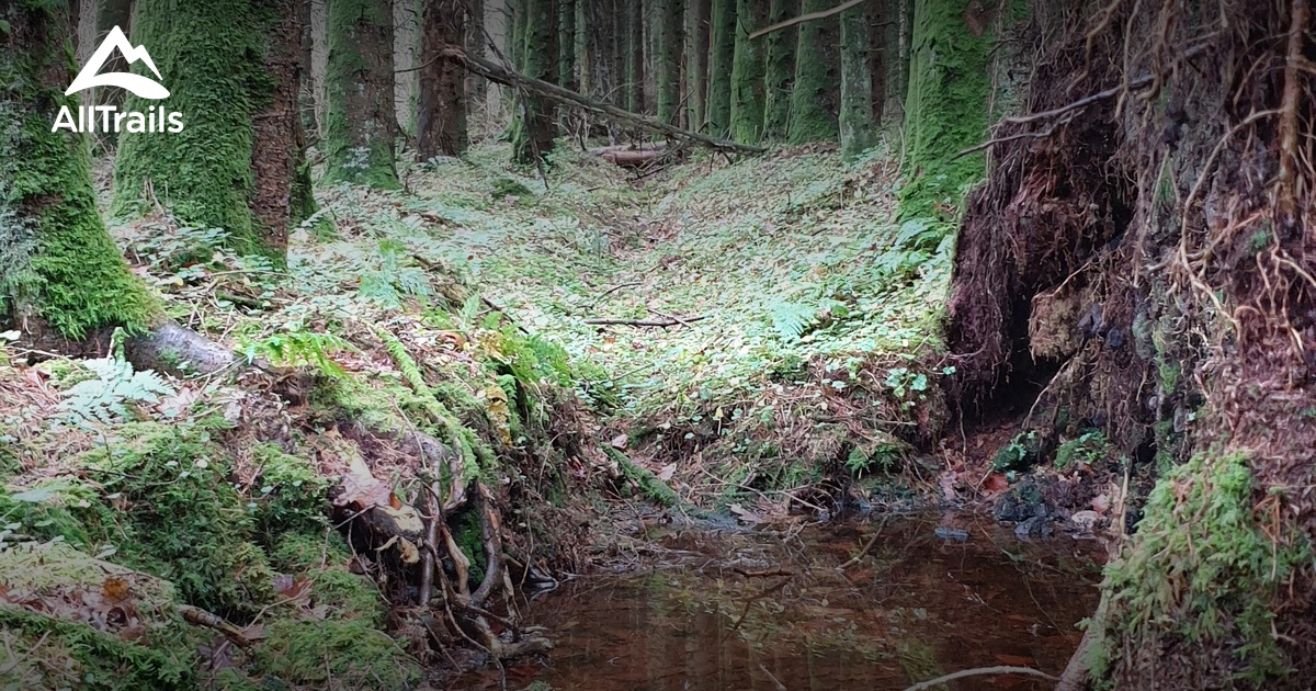 Best hikes and trails in Pomeroy Forest | AllTrails