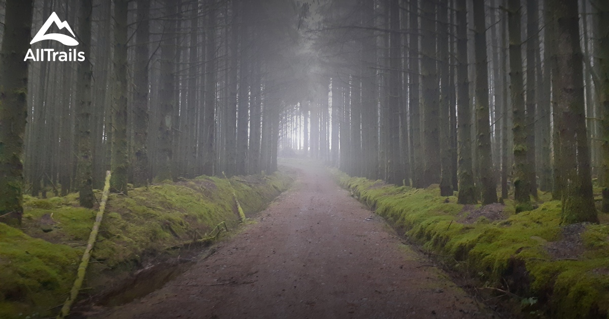 Best walking trails in Loughermore Forest | AllTrails