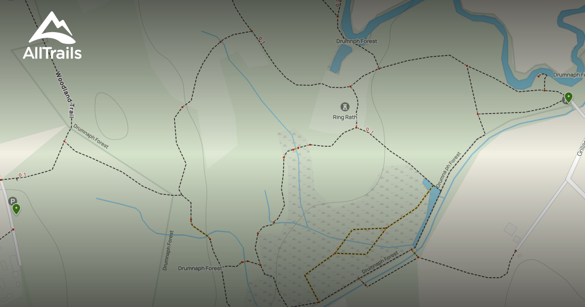 Best hikes and trails in Drumnaph Forest | AllTrails
