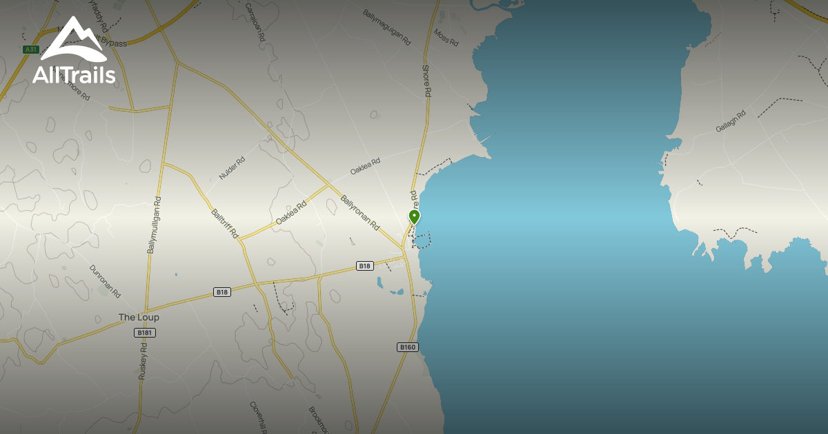 Best hikes and trails in Ballyronan Wood | AllTrails
