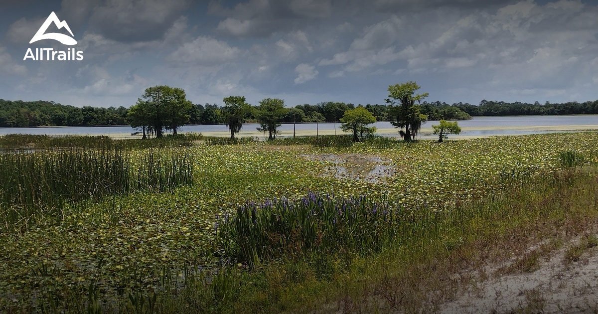 Best hikes and trails in Orlando Wetlands | AllTrails