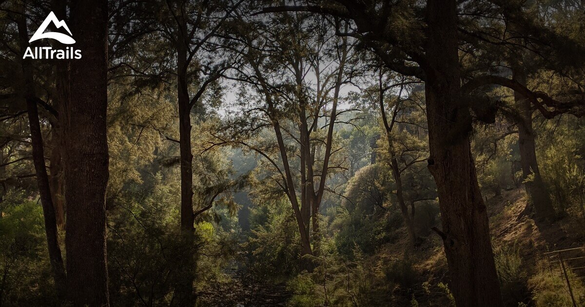 Best hikes and trails in Ophir Reserve | AllTrails