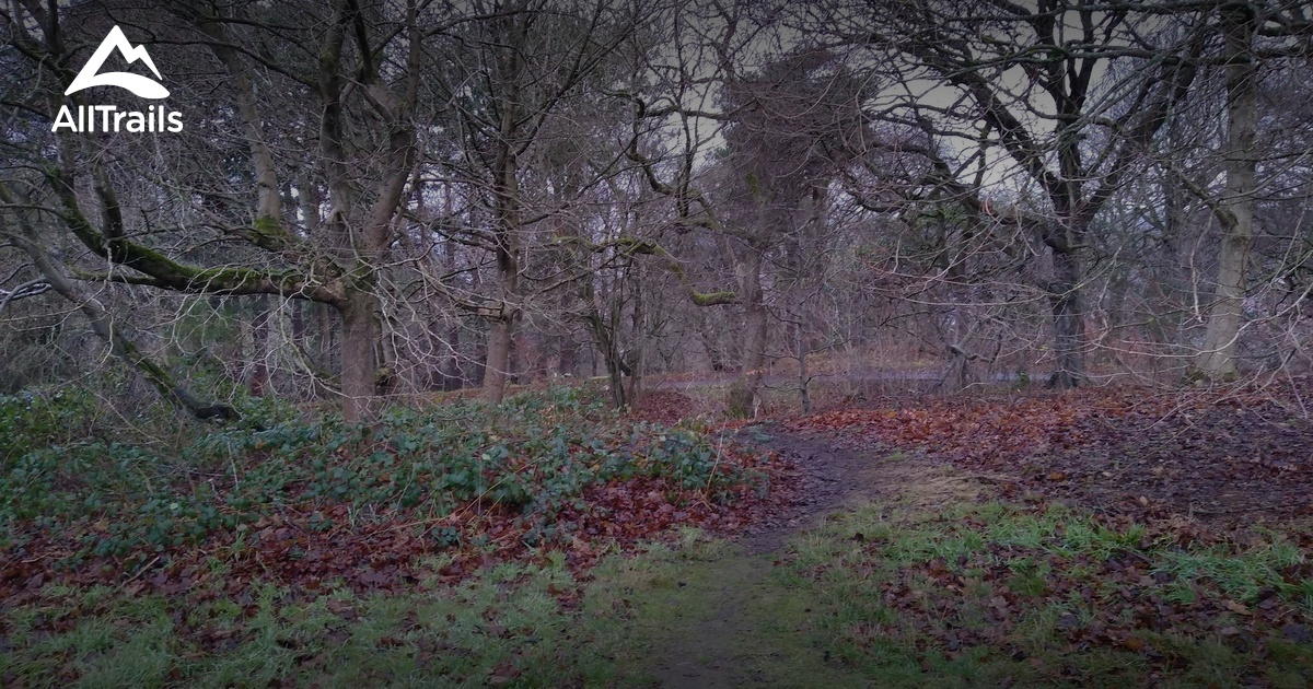 Best hikes and trails in Balgay Hill | AllTrails