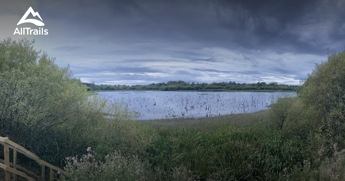 Best forest trails in Cardowan Moss Local Nature Reserve | AllTrails