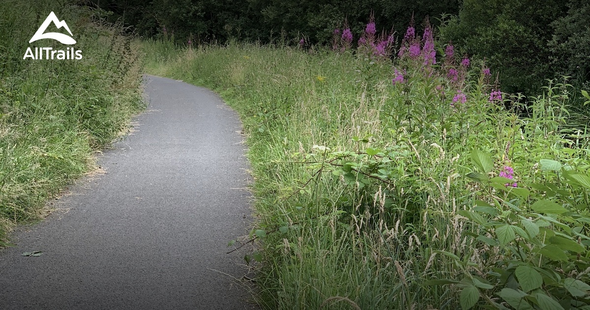 Best hikes and trails in Possil Marsh Nature Reserve | AllTrails