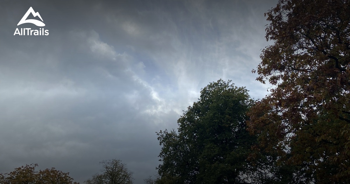 Los mejores senderos cortas en King's Park | AllTrails