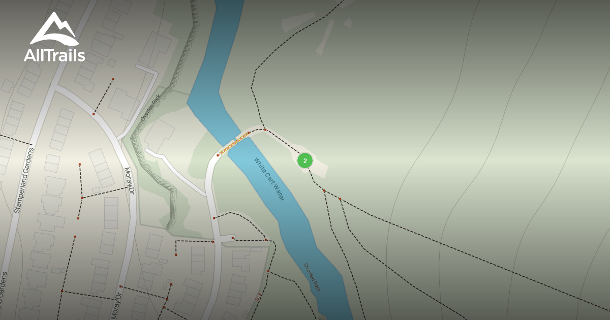 Best forest trails in Stamperland SSSI | AllTrails