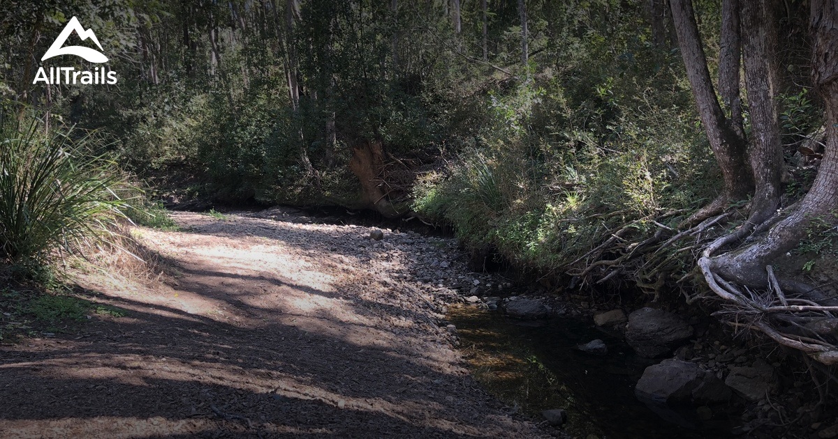 Best hikes and trails in Deerhurst Road Park | AllTrails