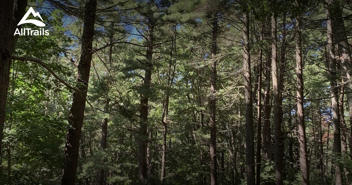 Best hikes and trails in Myles Standish Monument State Reservation ...