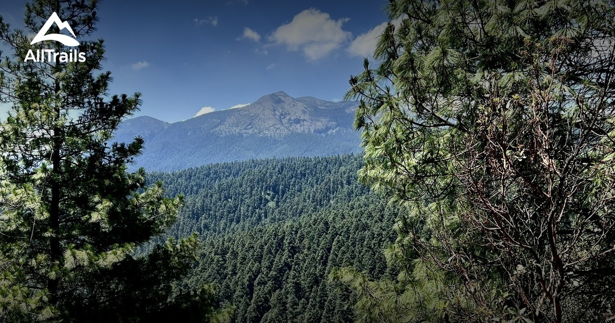 10 Best hikes and trails in Parque Ejidal San Nicolas Totolapan | AllTrails