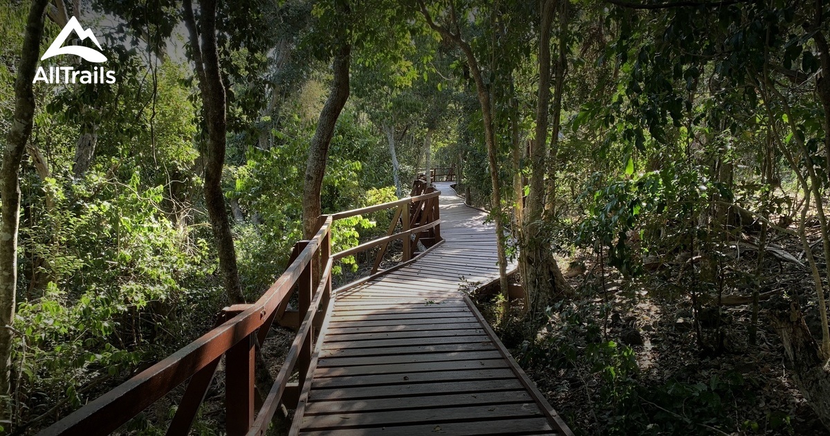 Best hikes and trails in The Hummock Reserve | AllTrails