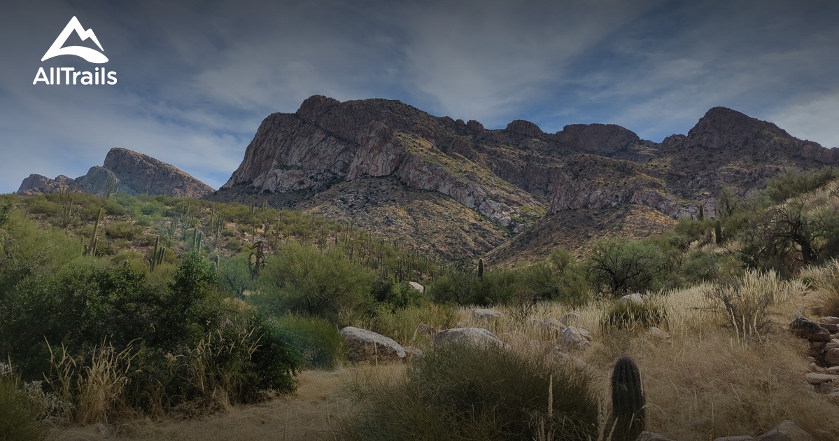 10 Best hikes and trails in Bighorn Sheep Management Area | AllTrails
