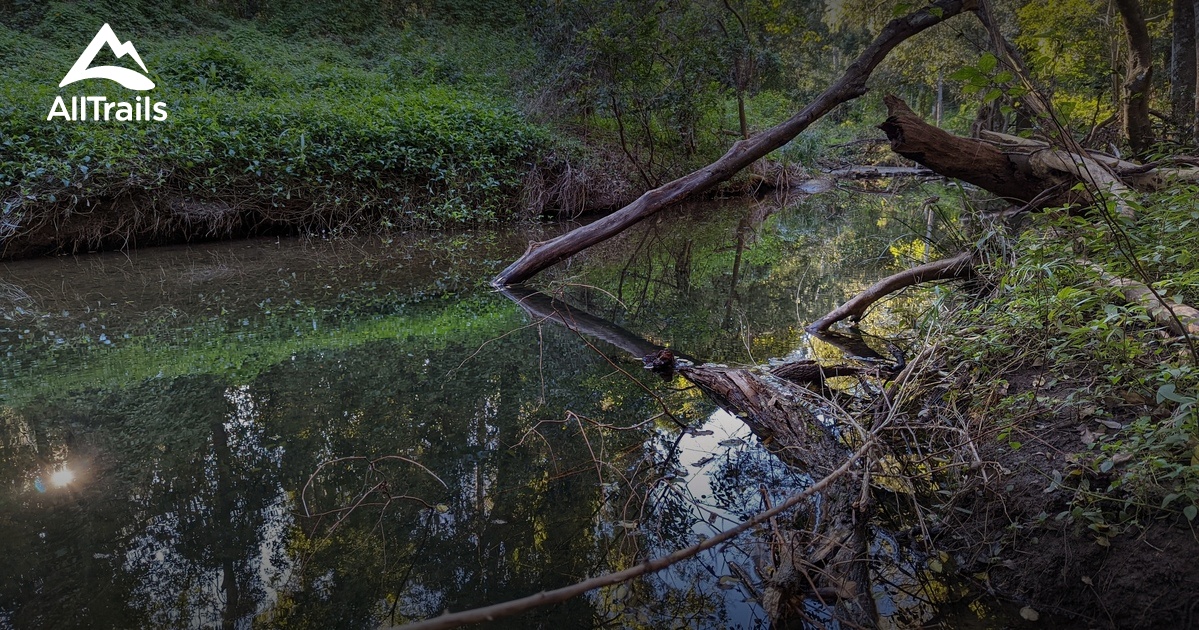 Best hikes and trails in Pullen Pullen Creek Bushland Reserve | AllTrails