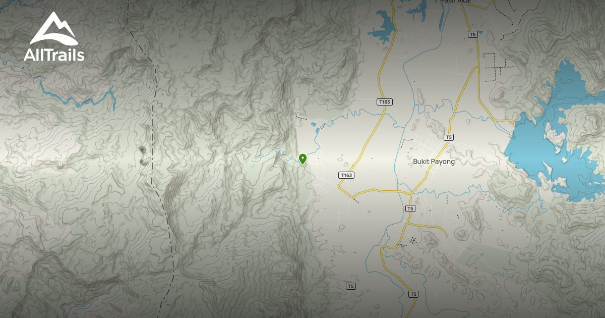 Best hikes and trails in Lata Tembakah Recreational Forest | AllTrails