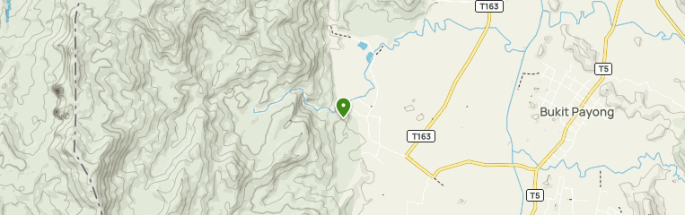 Best Hikes and Trails in Lata Tembakah Recreational Forest | AllTrails