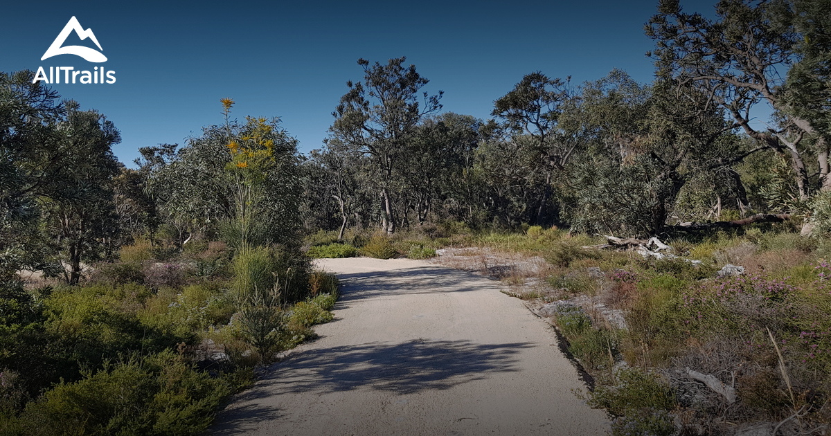 Best hikes and trails in Pinjar Park | AllTrails