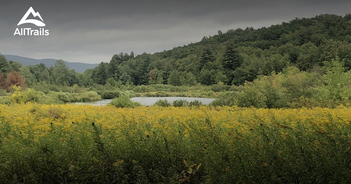 Best hikes and trails in Thomas and Palmer Brook Reserve | AllTrails