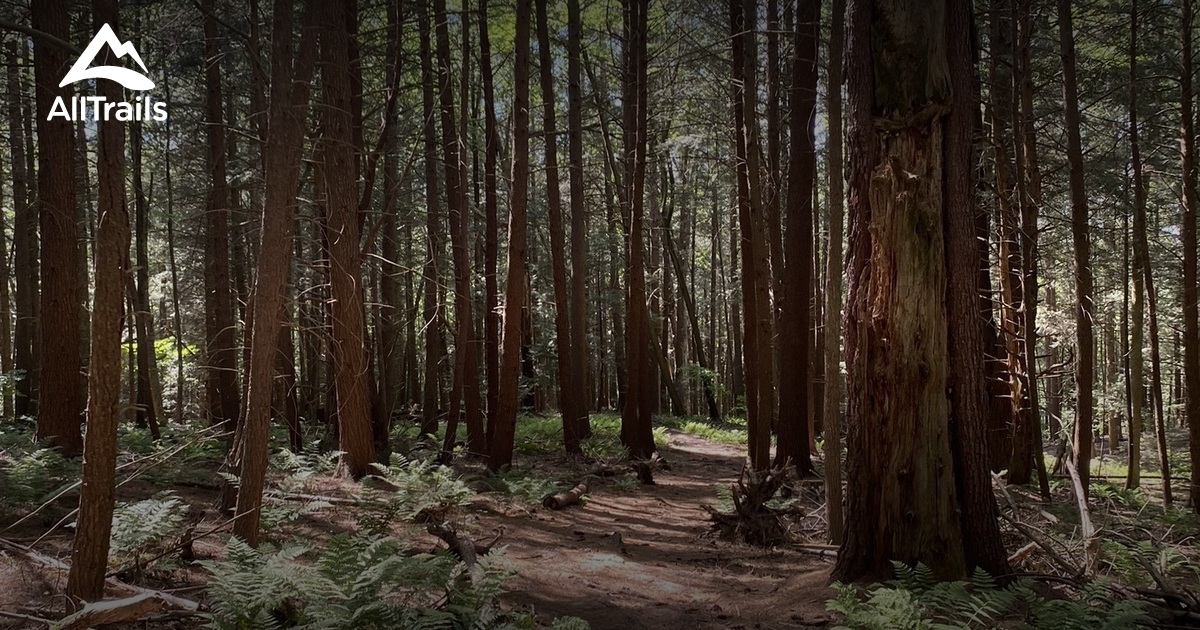 Best hikes and trails in Stevens Glen Reserve | AllTrails
