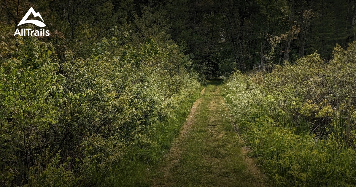 Best hikes and trails in Steepletop Reserve | AllTrails